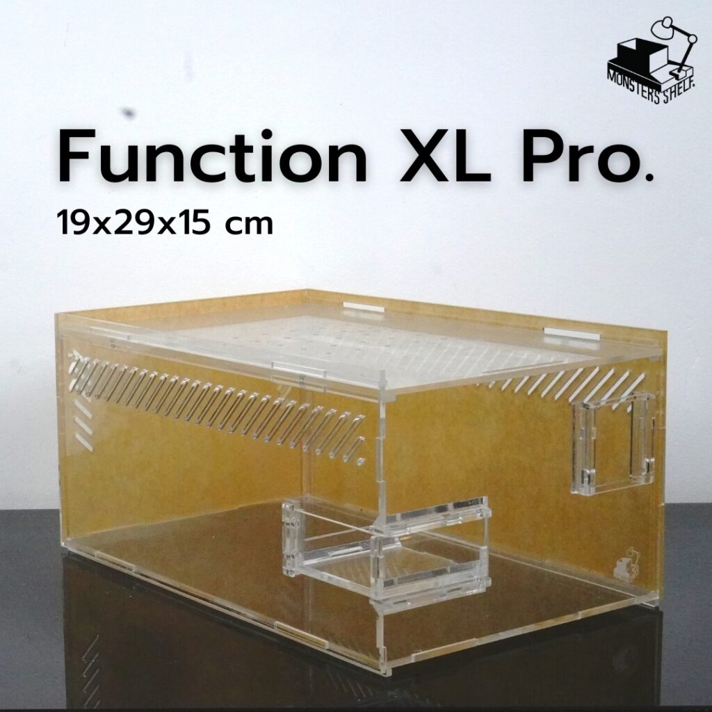 Acrylic box, Function model - Monsters Shelf.