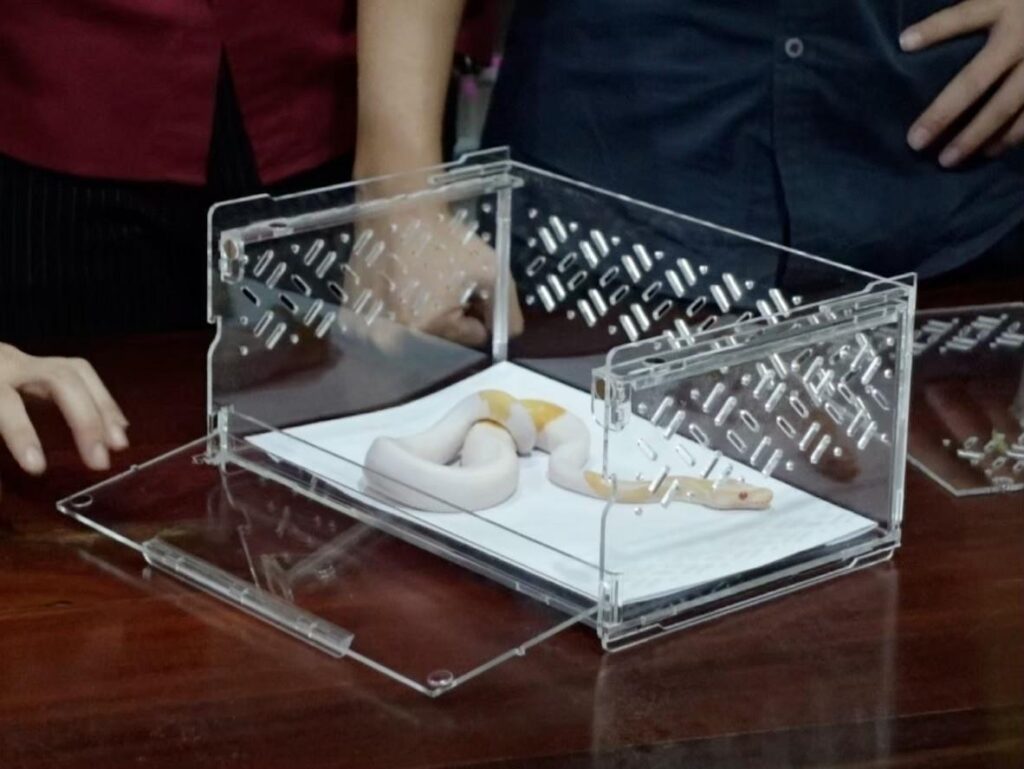 กล่องเลี้ยงงู Snake Box - Size M - Monsters Shelf.